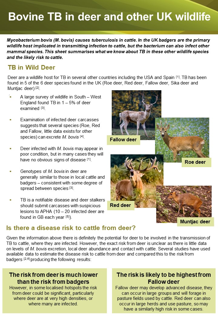 TB Knowledge Exchange TB Fact sheets
